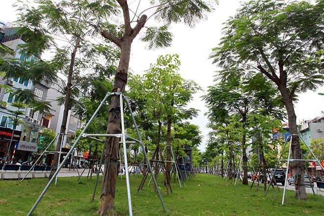 AMATA - AMATA City Bien Hoa Supports Funds Towards the '1 Billion Tree ...