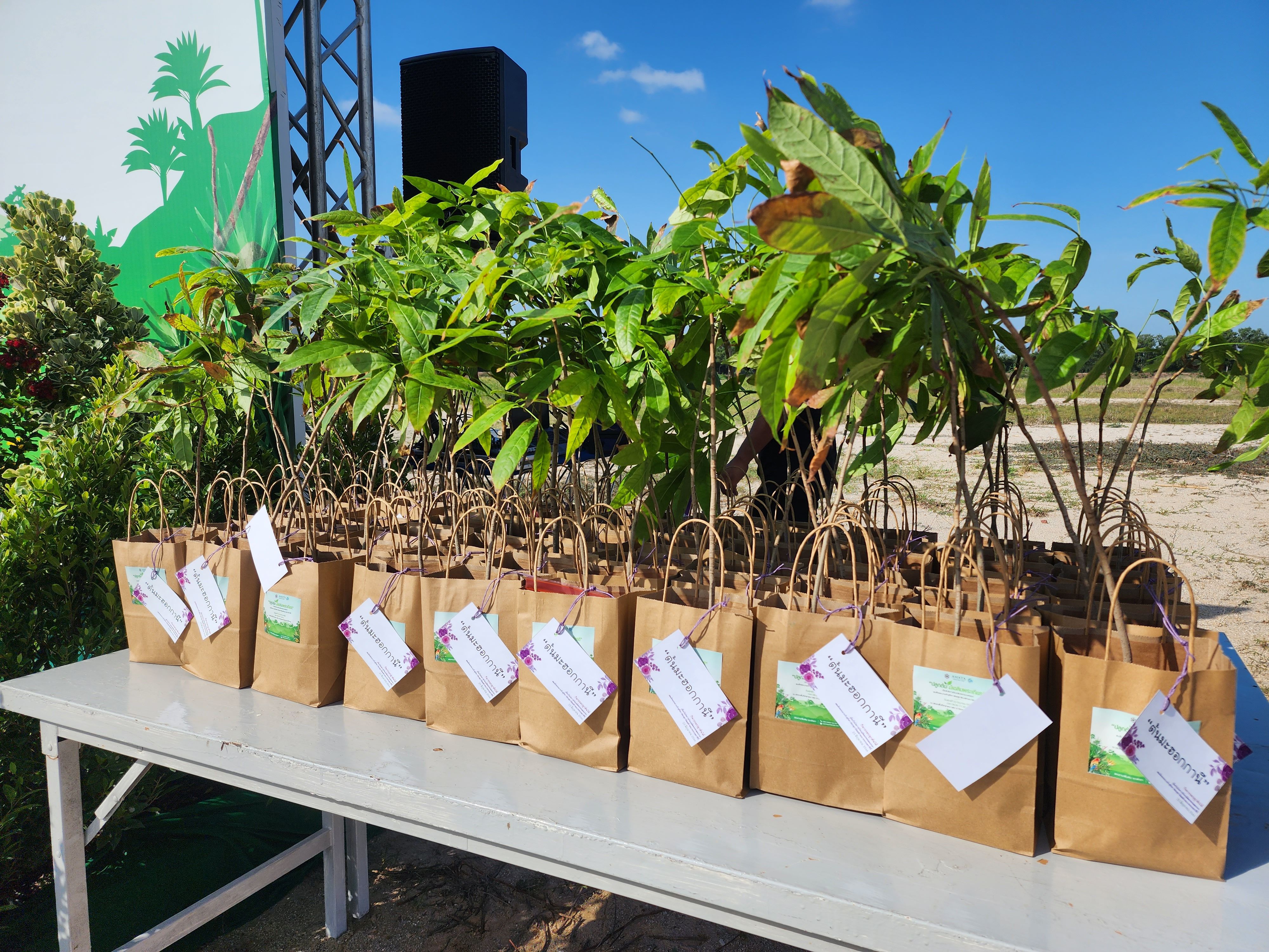 AMATA - Tokai Rika Organizes the Fourth "Forest for Life" Activity