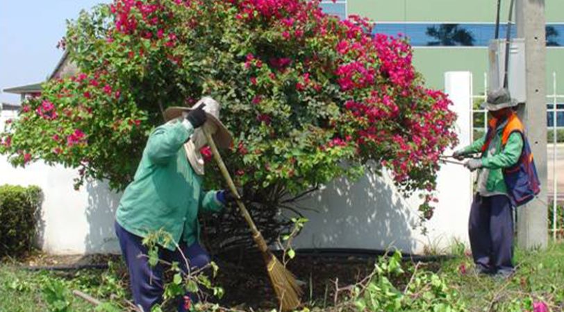 AMATA - Green & Clean