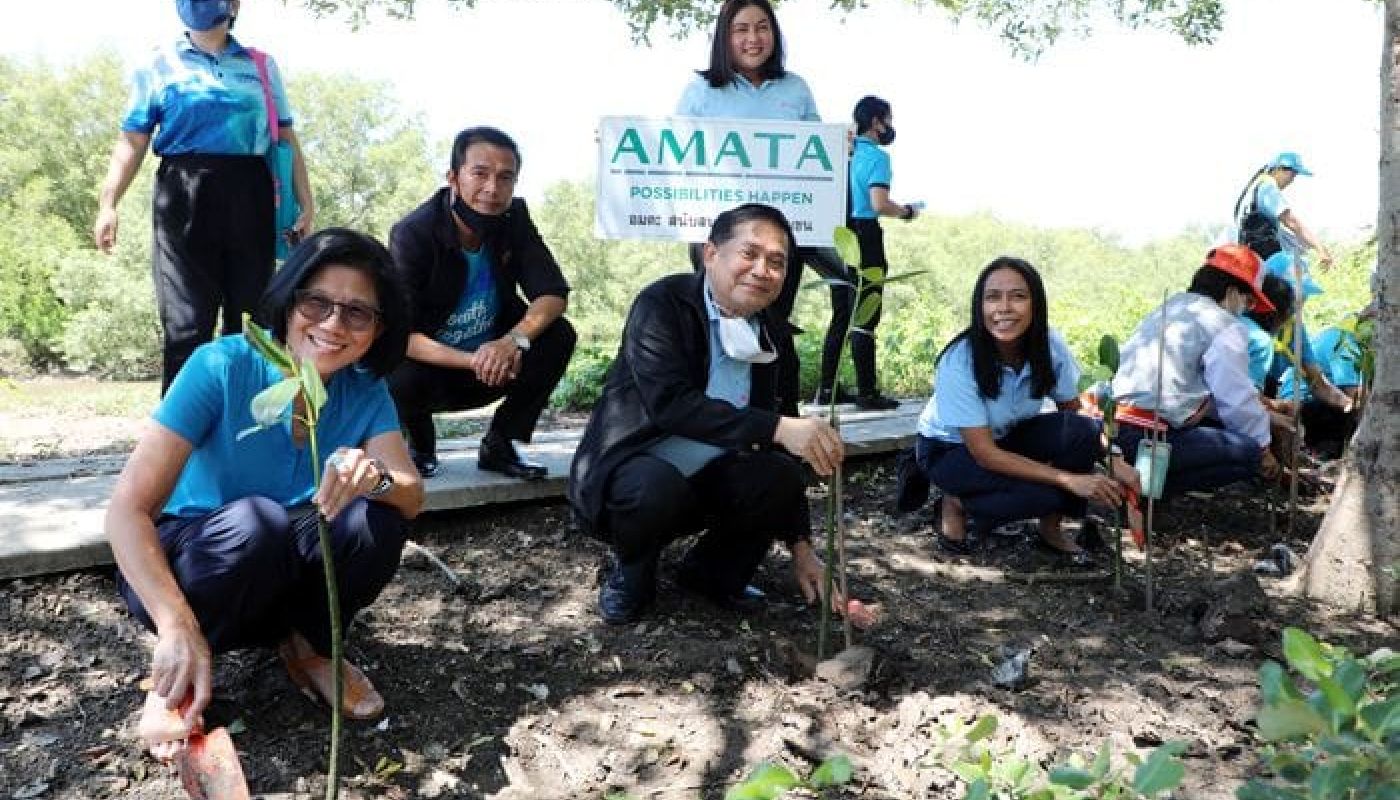 AMATA - Amata Plants Mangrove Trees to Honor HM The King and HM The ...