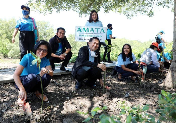 AMATA - Amata Plants Mangrove Trees to Honor HM The King and HM The ...