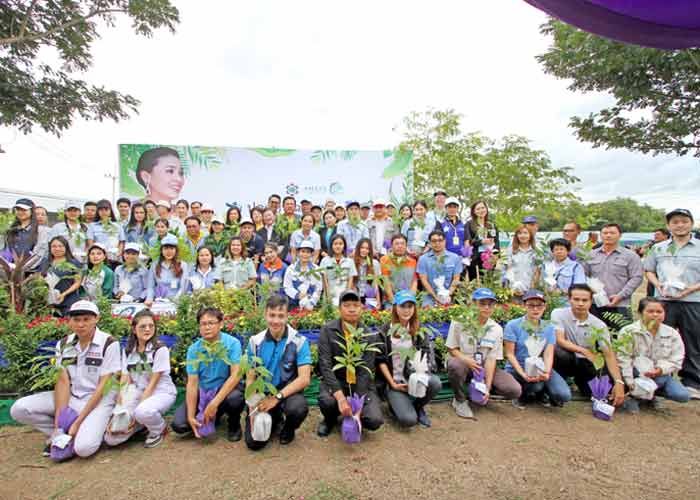 AMATA - Trees to Commemorate the Royal Birthday